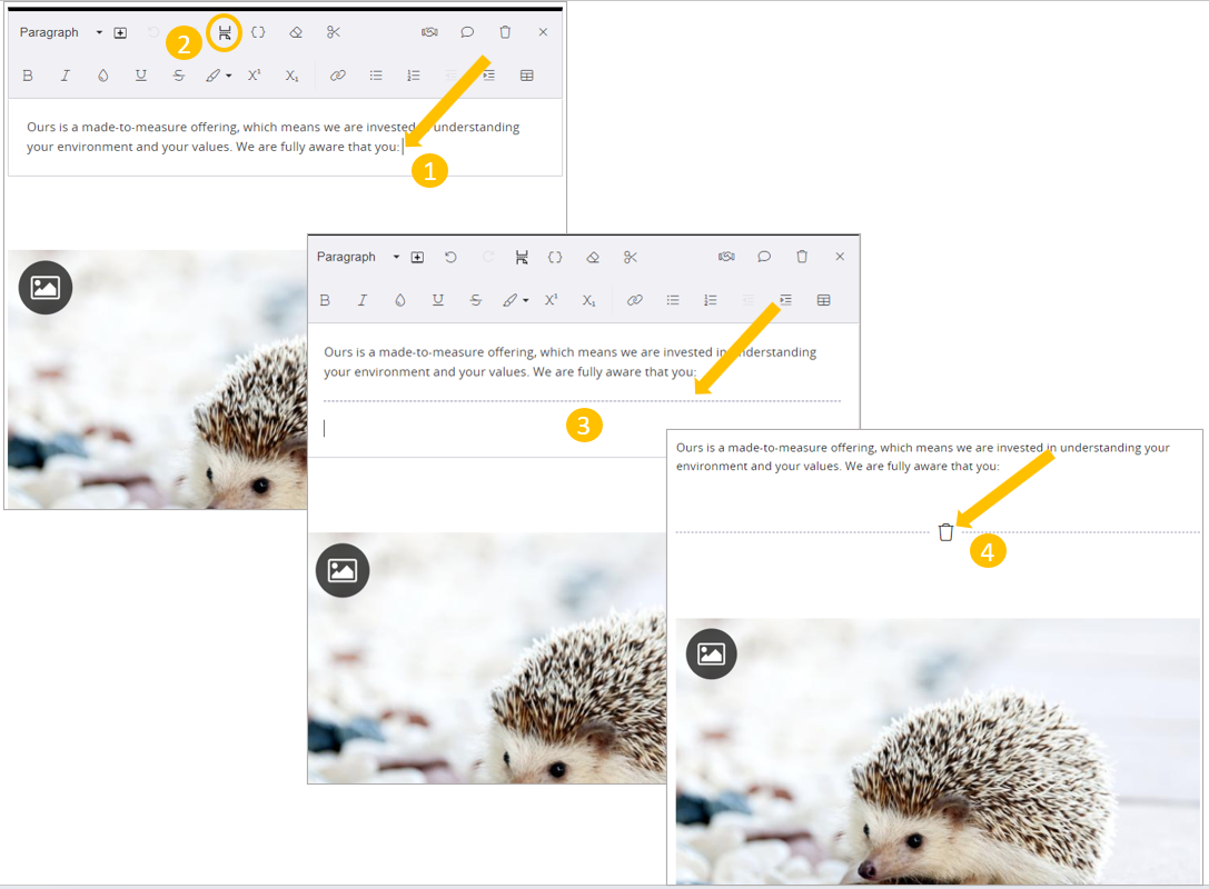 How to insert a page break before or after an image? – Help Center ...