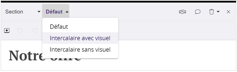 How to customize a separator – Help Center XaitProposal